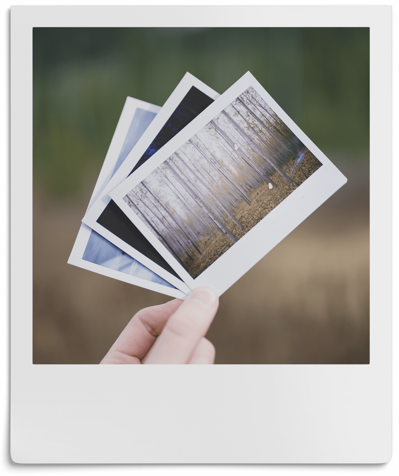 Copy & Duplication – Shades Photographic